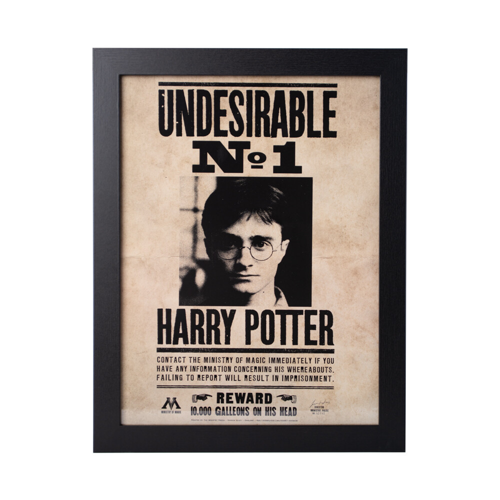 Harry Potter - Undesirable N.1 Framed poster | Buy at UKposters