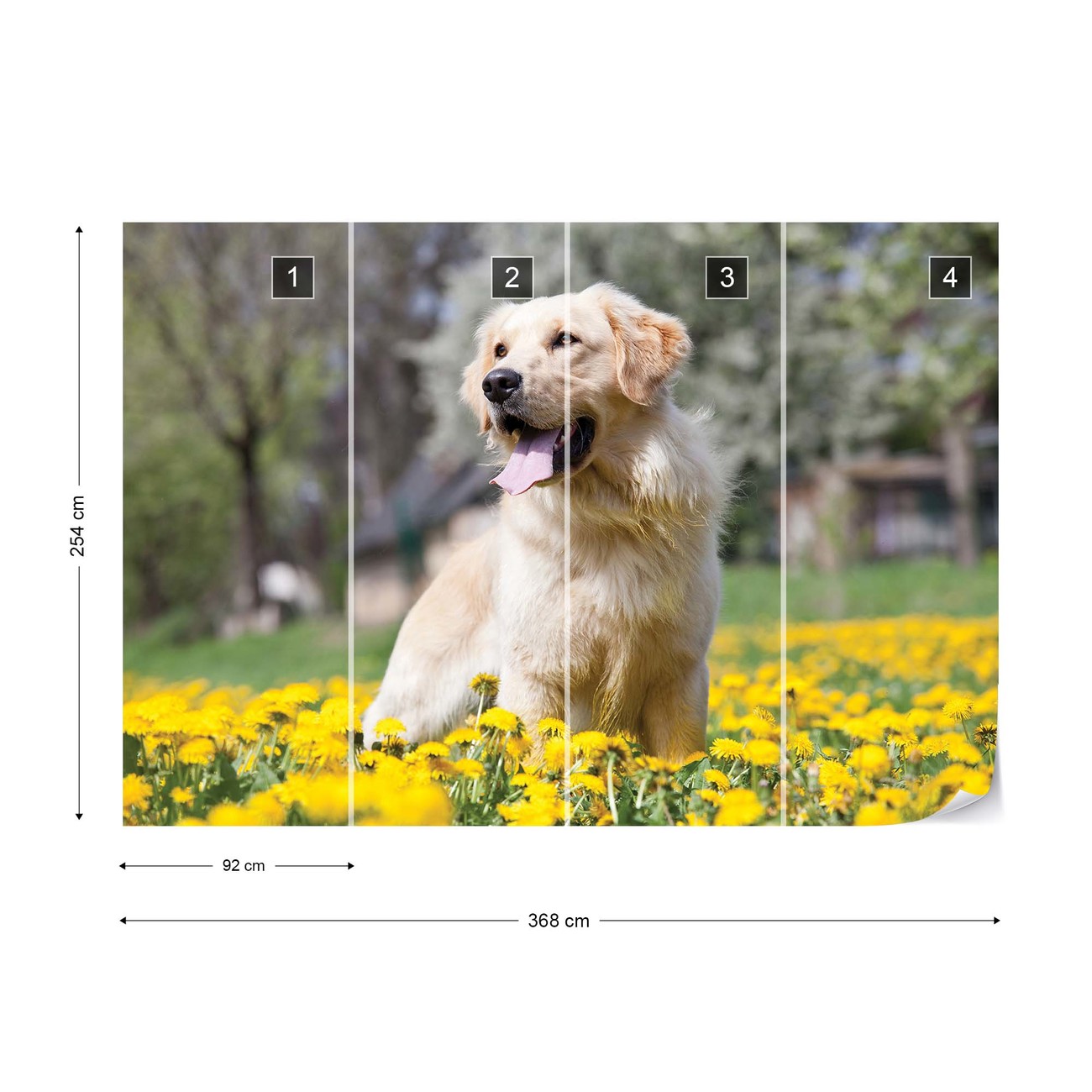 Golden Retriever Growth Chart With Pictures Golden Retriever Neck And