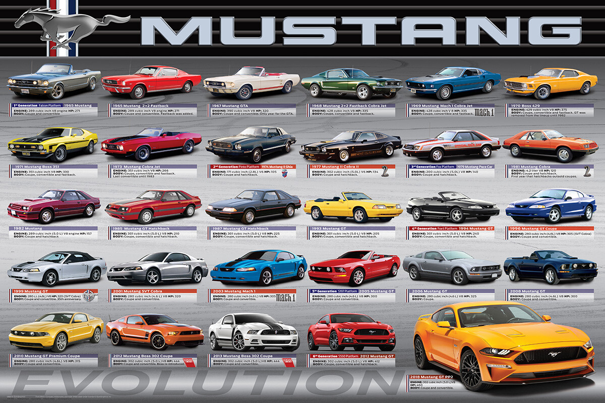 Poster, Affiche Ford Mustang Evolution 50th Ls en ligne | 3+1 GRATUIT ...