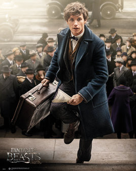 Poster, Affiche Les Animaux fantastiques - Newt Scamander en ligne | 3+1 GRATUIT | Europosters