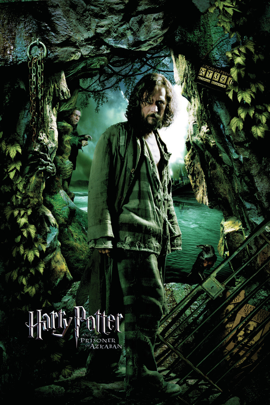 Плакат, Картина Harry Potter and the Prisoner of Azkaban - Sirius ...