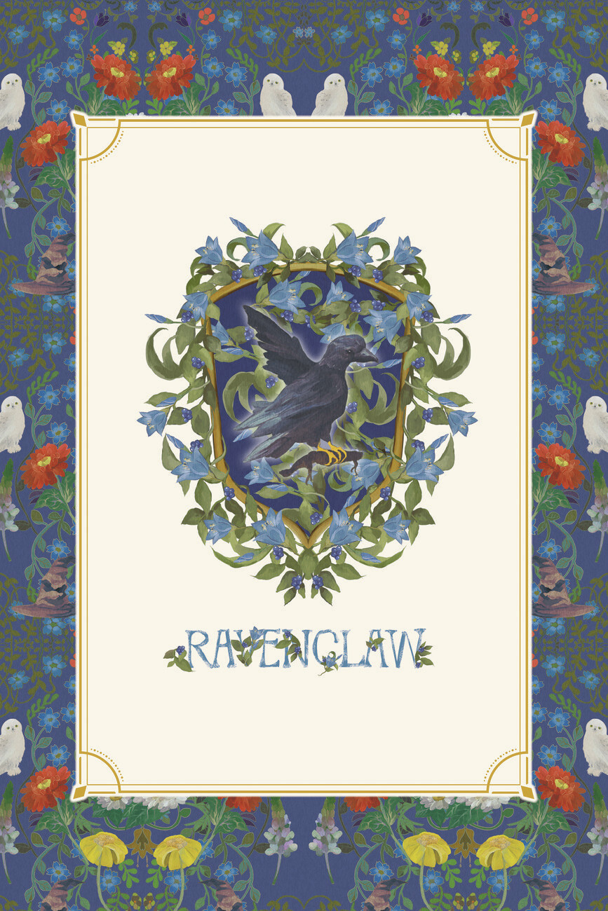 Harry Potter Ravenclaw Wallpaper Hd Harry Potter Fans ϟ Added A New