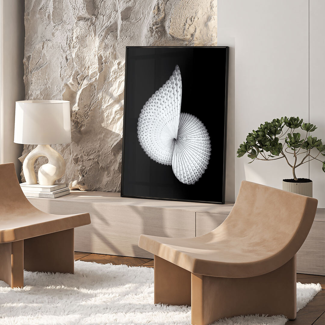 Nautilus-like Sculpture, Mei Xu | Plakáty, Obrazy a Fototapety na zeď ...