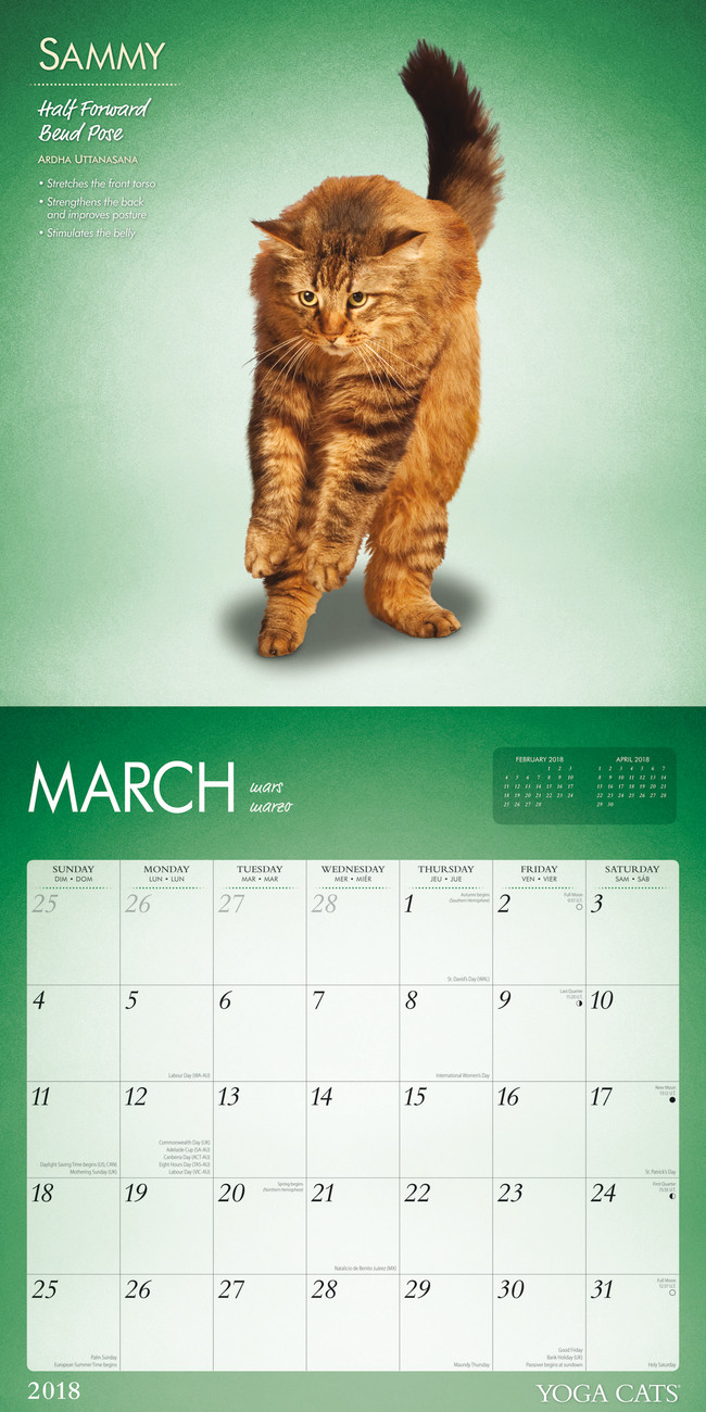 Yoga Cats - Calendari da muro 2018 | Compra su Europosters