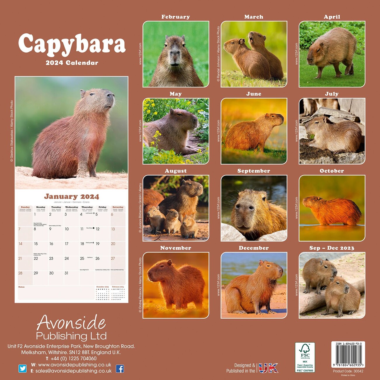 Capybara - Calendarios de pared 2024 | Consíguelos en Posters.es
