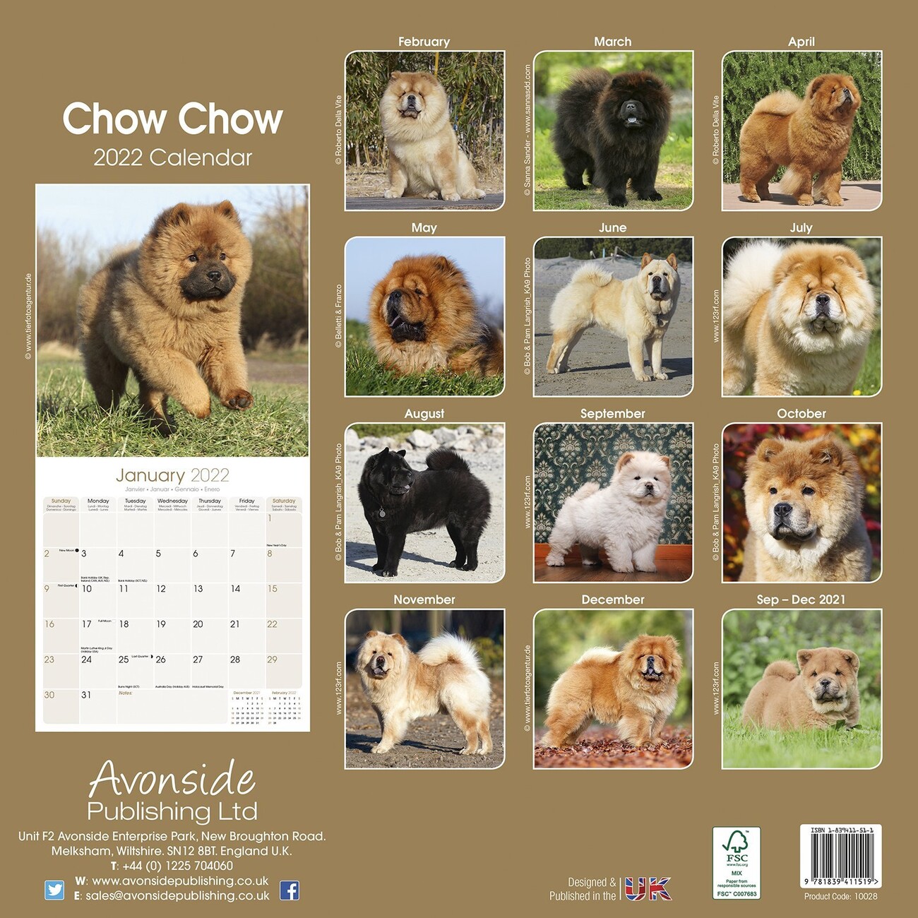 Chow Chow - Calendarios de pared 2022 | Consíguelos en Posters.es