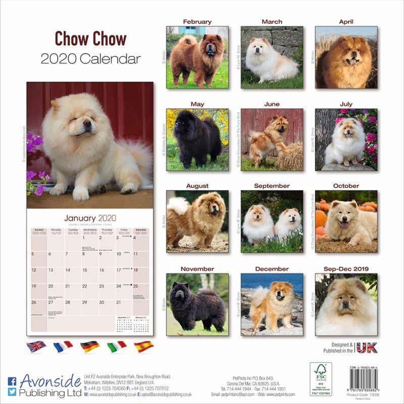 Chow Chow - Calendarios de pared 2020 | Consíguelos en Posters.es