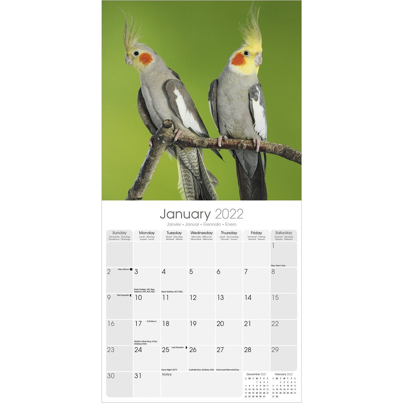 Cockatiels - Calendarios de pared 2022 | Consíguelos en Posters.es