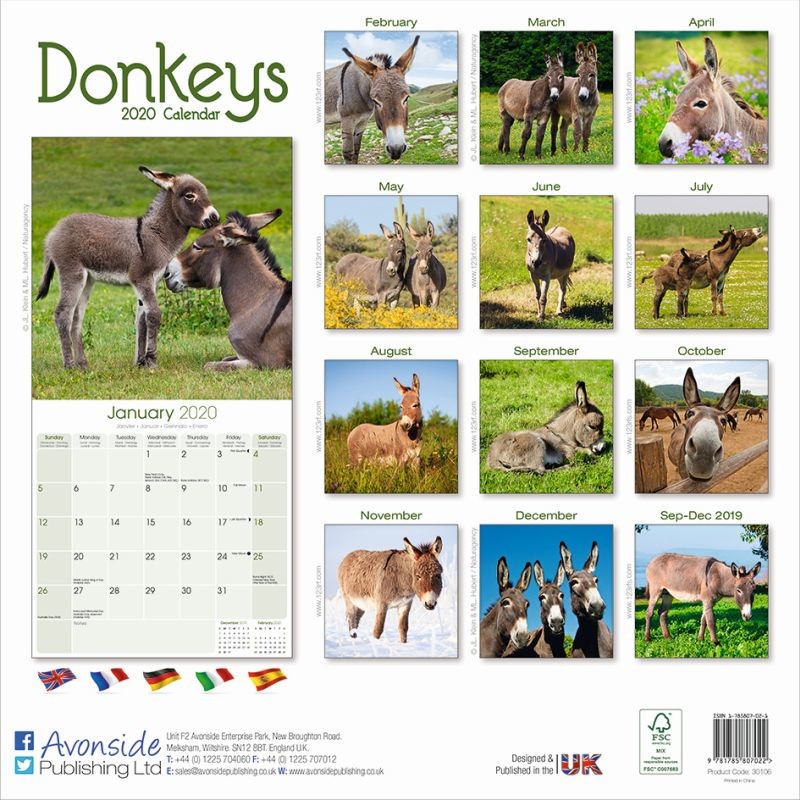 Donkeys - Calendarios de pared 2020 | Consíguelos en Posters.es