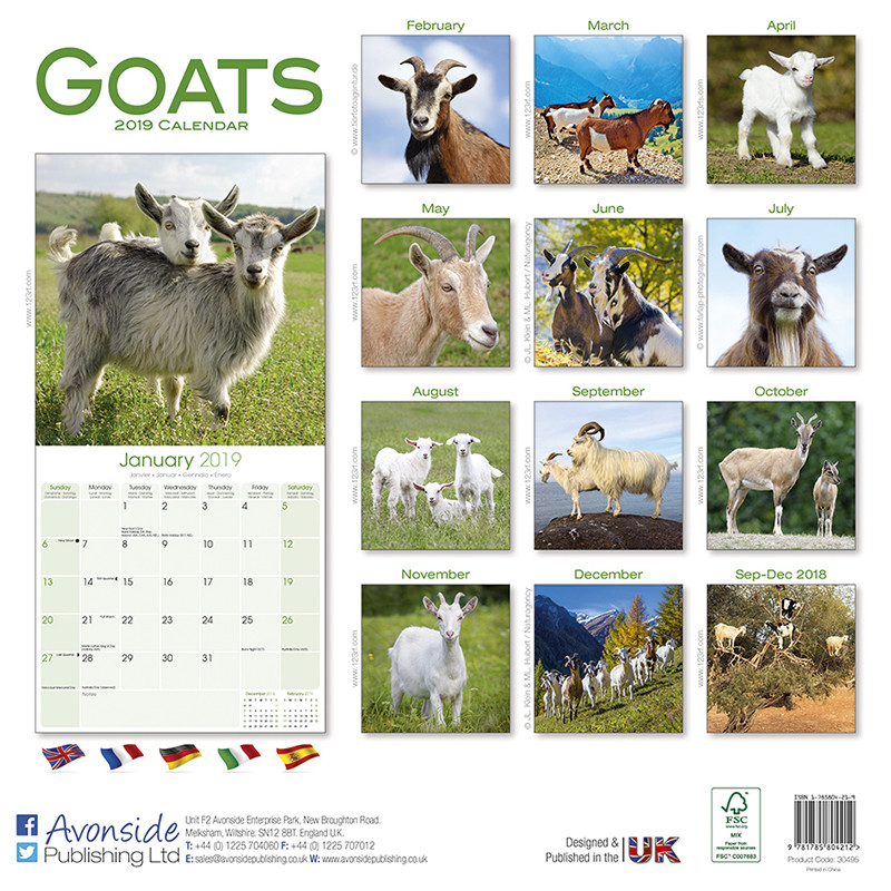 Goats - Calendarios de pared 2019 | Consíguelos en Posters.es