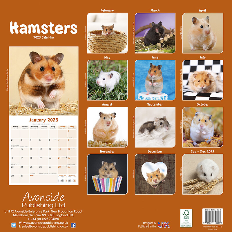 Hamsters - Calendarios de pared 2023 | Consíguelos en Posters.es