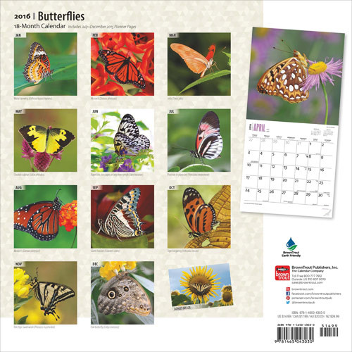 Mariposas - Calendarios de pared 2024 | Consíguelos en Posters.es