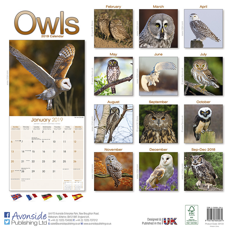 Owls - Calendarios de pared 2019 | Consíguelos en Posters.es
