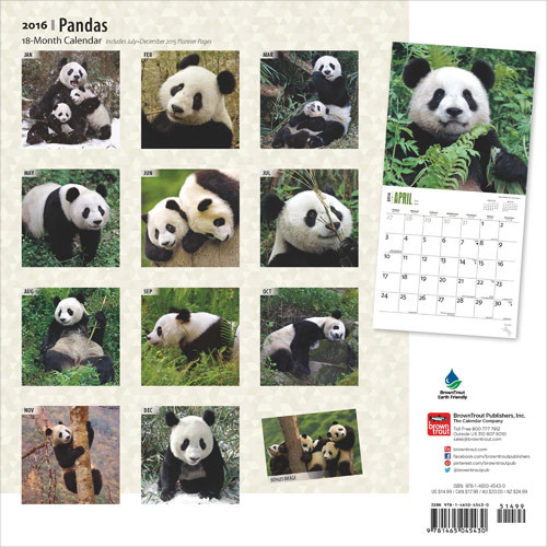 Pandas - Calendarios de pared 2016 | Consíguelos en Posters.es