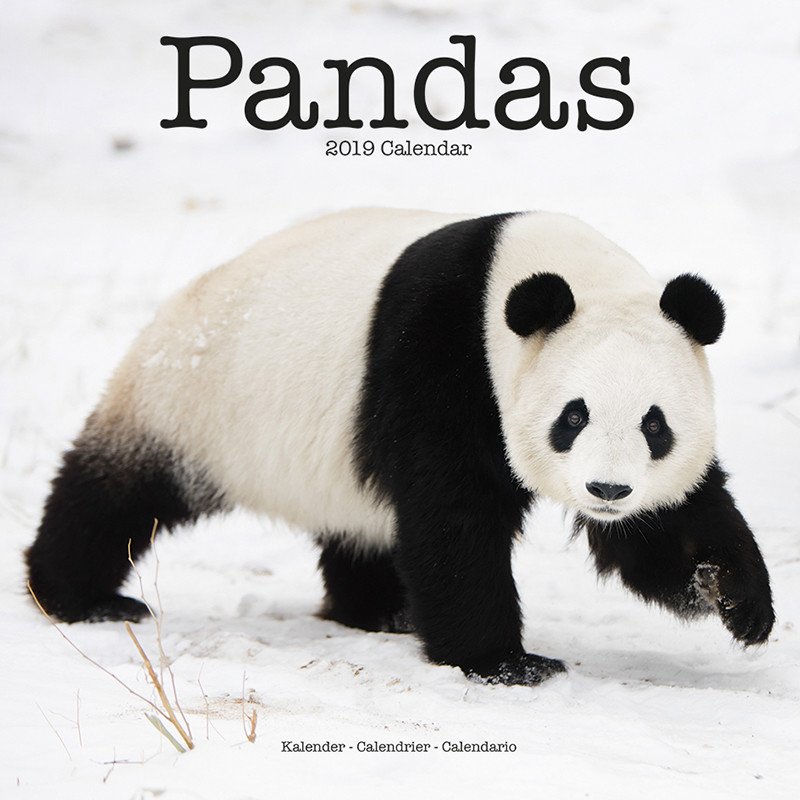 Pandas - Calendarios de pared 2019 | Consíguelos en Posters.es