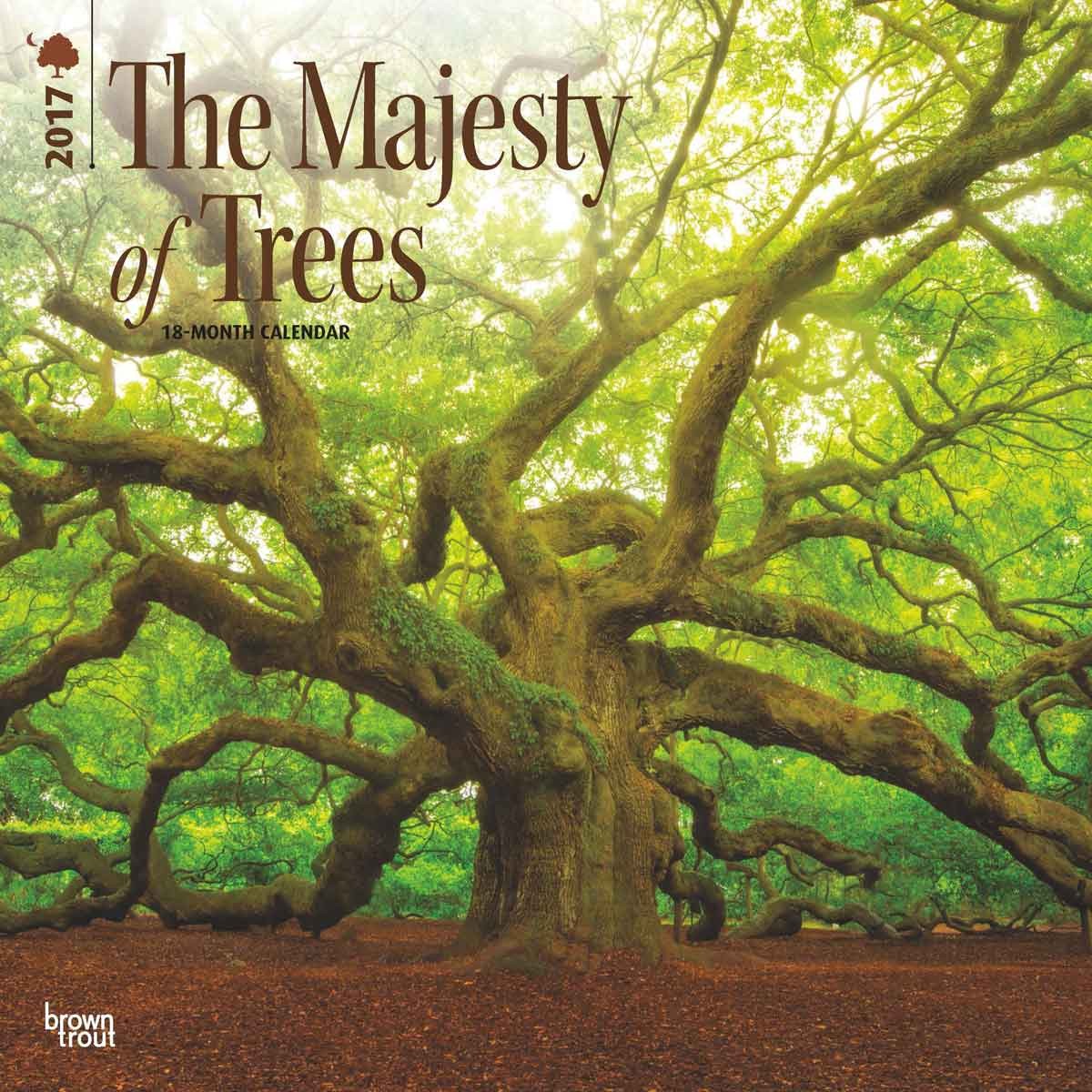 The Majesty of Trees - Calendarios de pared 2017 | Consíguelos en ...