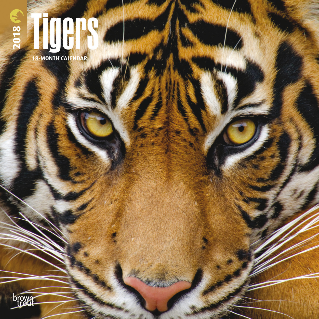 Tigers - Calendarios 2021