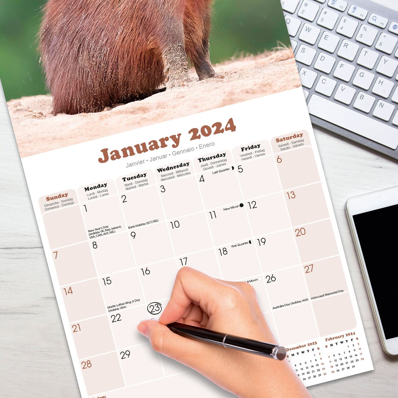 Capybara - Wall Calendars 2024 | Buy at UKposters