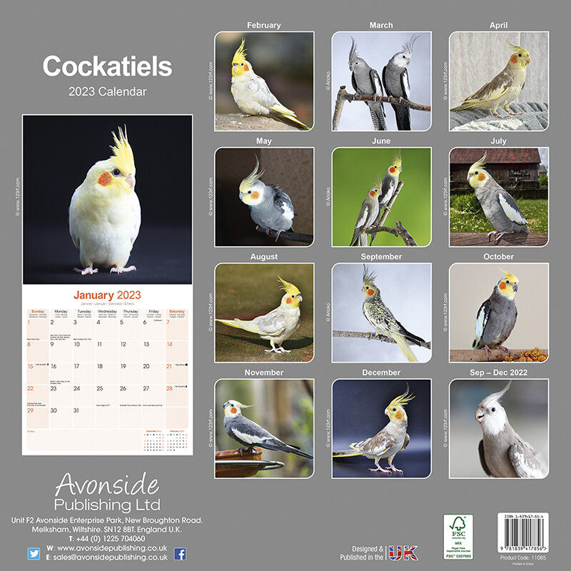Cockatiels - Wall Calendars 2023 | Buy at UKposters