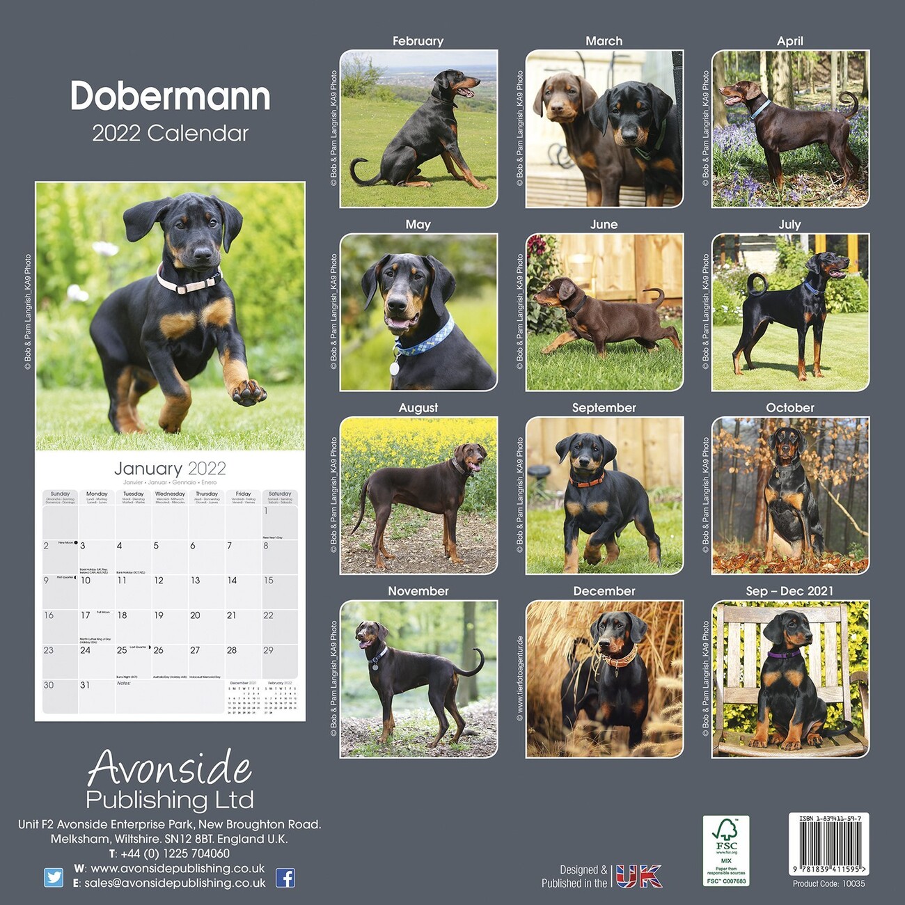 Dobermann - Wall Calendars 2022 | Buy at UKposters