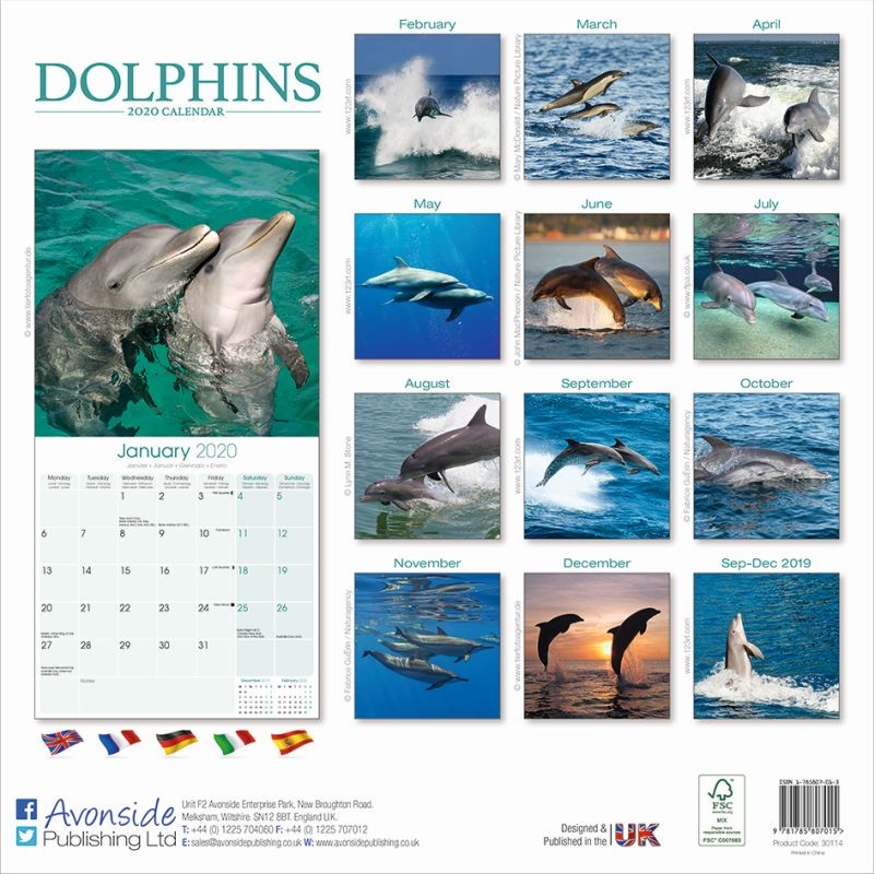 Dolphins - Wall Calendars 2020 | Buy at UKposters