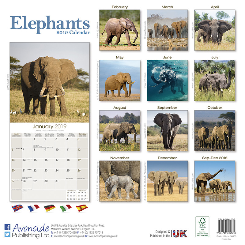 Elephants - Wall Calendars 2019 | Buy at UKposters