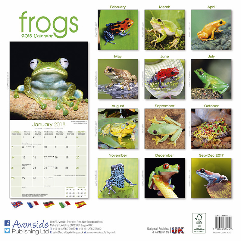 Frogs - Wall Calendars 2018 | Buy at UKposters