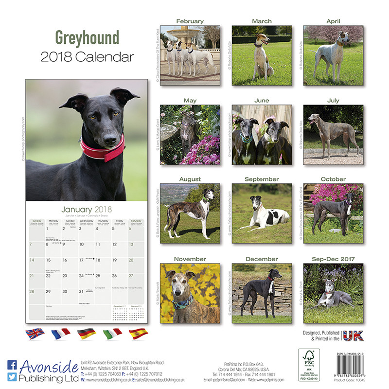 Greyhound - Wall Calendars 2018 | Buy at UKposters
