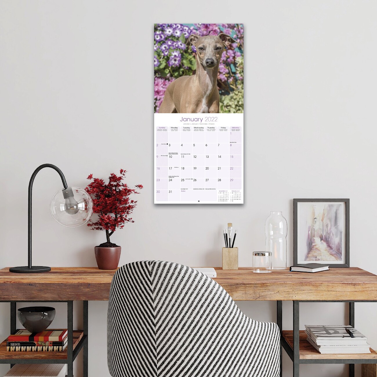 Italian Greyhound - Wall Calendars 2022 | Buy at UKposters