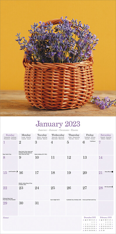 Lavender - Wall Calendars 2023 | Buy at UKposters