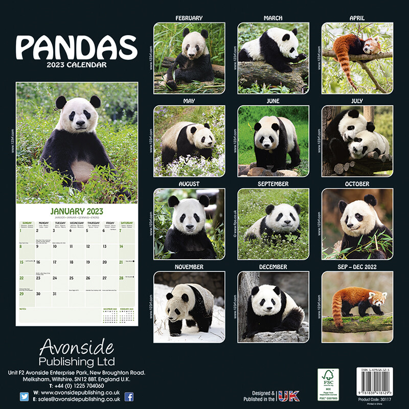 Pandas - Wall Calendars 2023 | Buy at UKposters