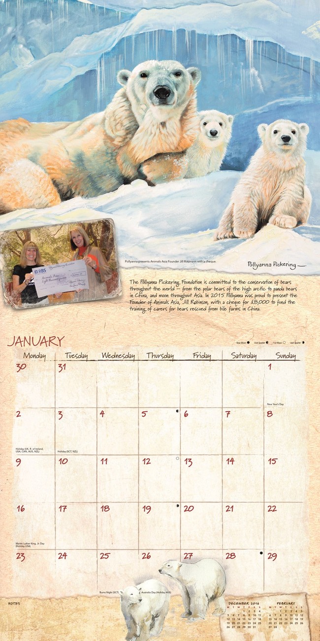 Pollyanna Pickering - Wall Calendars 2017 | Buy at UKposters