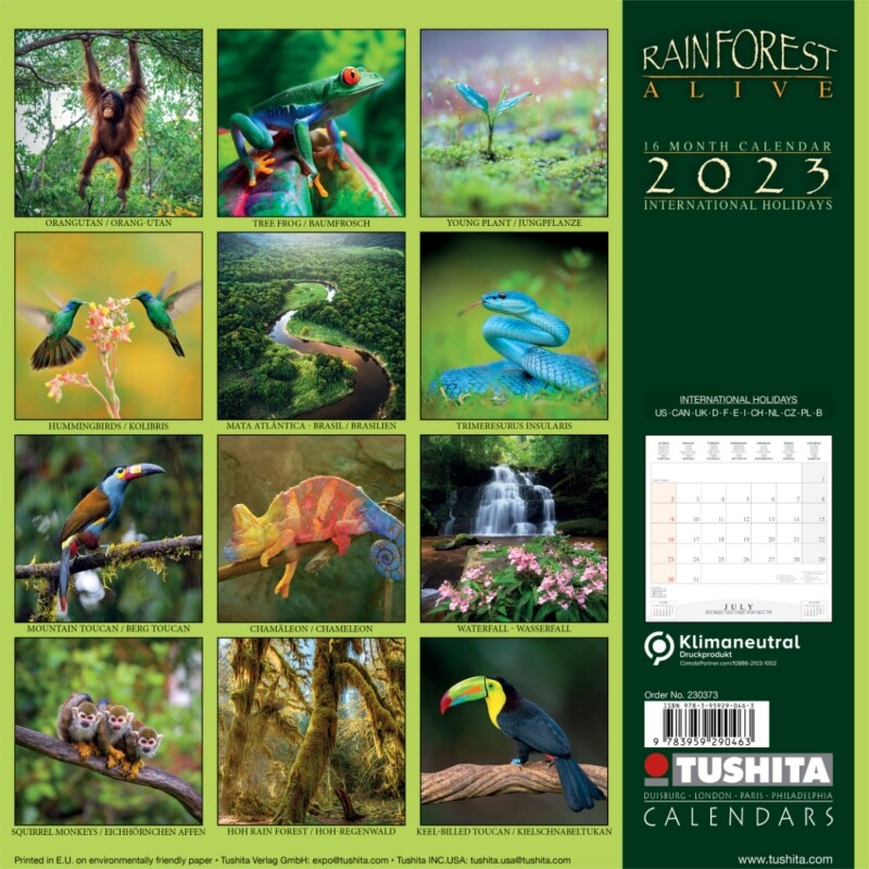 Rainforest Alive - Wall Calendars 2023 | Buy at UKposters