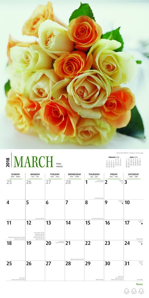 Roses - Wall Calendars 2018 | Buy at UKposters