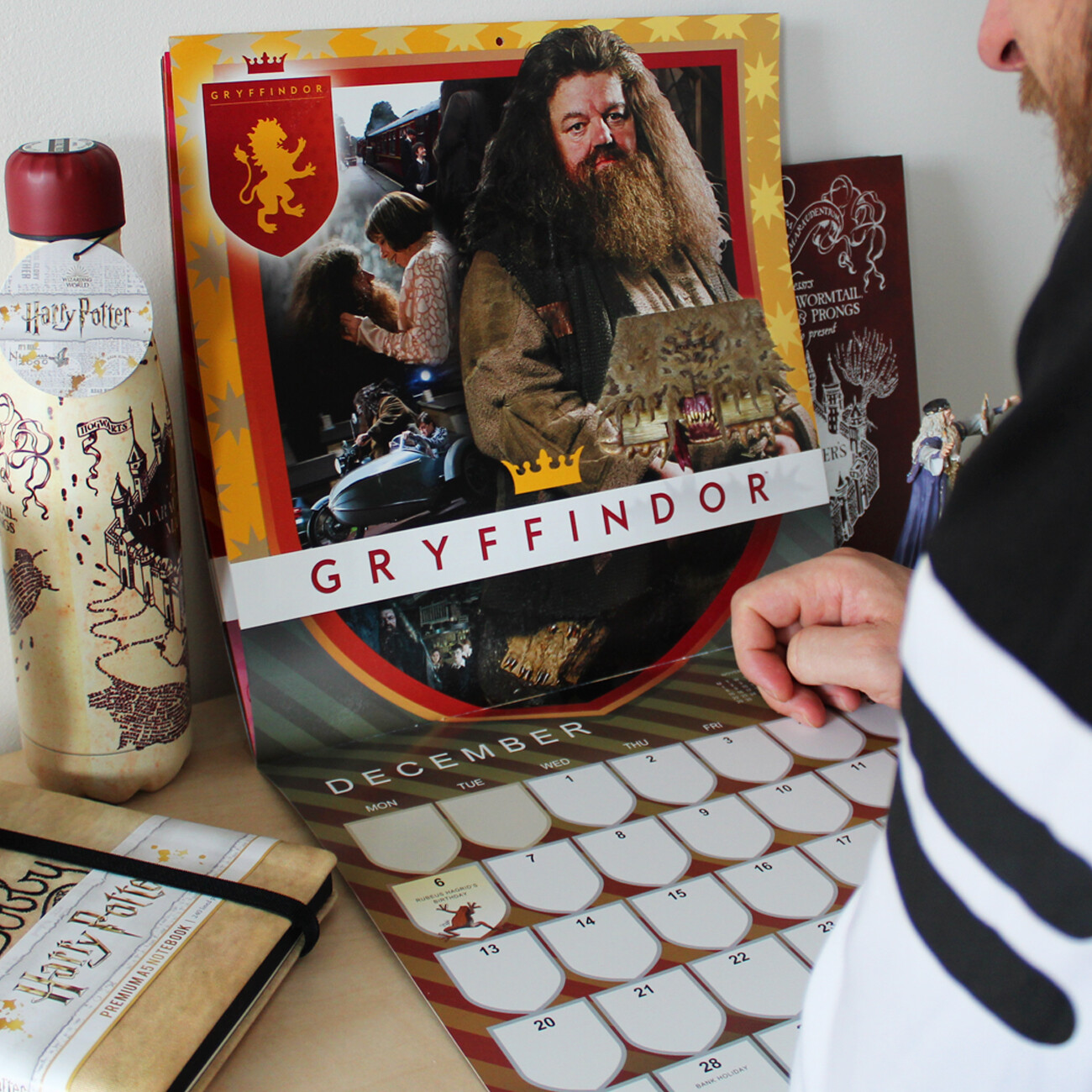 Harry Potter - Calendriers 2021 | Achetez sur Europosters