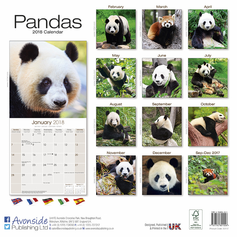Pandas - Calendriers 2018 | Achetez sur Europosters