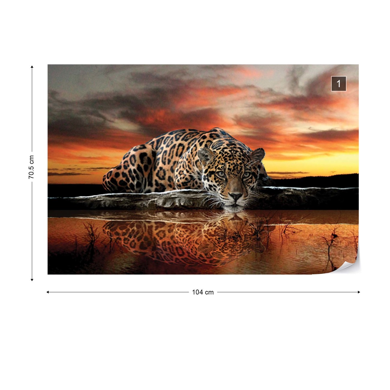 Leopard Fotótapéta, Fali tapéta, Tapéta az Europosters.hu-n