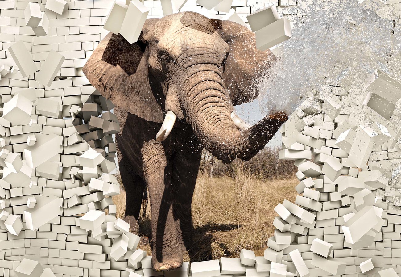 Fototapete, Tapete Elephant Bursting Through Brick Wall bei EuroPosters ...