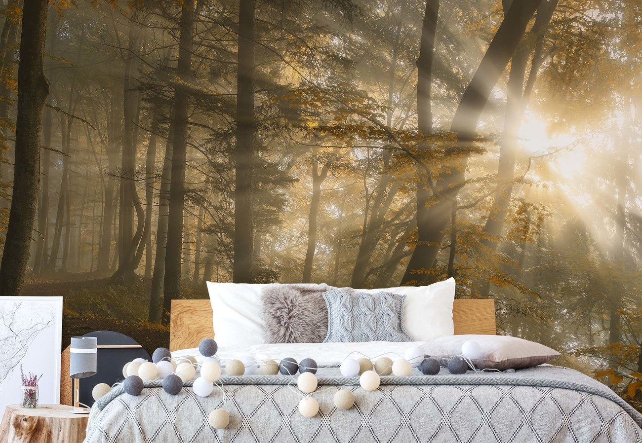 Fototapete, Tapete Forest Light bei EuroPosters - Kostenloser Versand