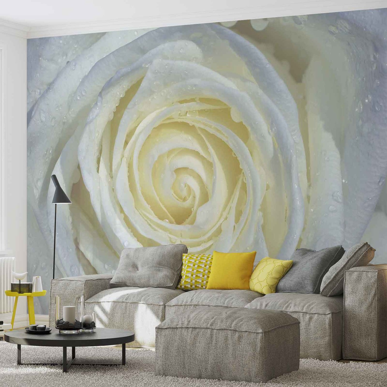 Fototapete, Tapete Rose Blume Weiß bei EuroPosters - Kostenloser Versand