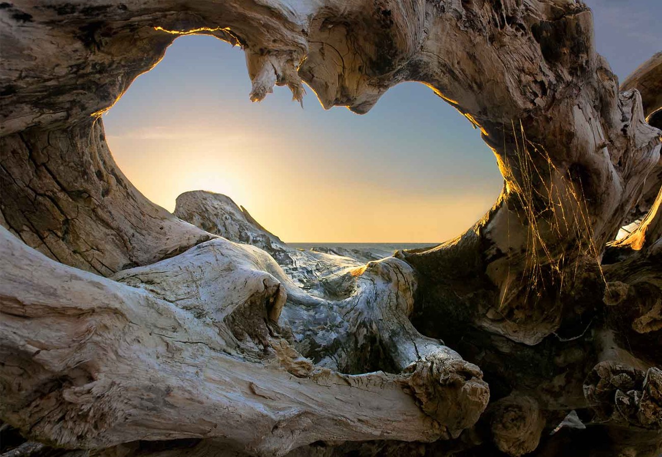 Open The Window Fototapet, Tapet på Europosters.dk