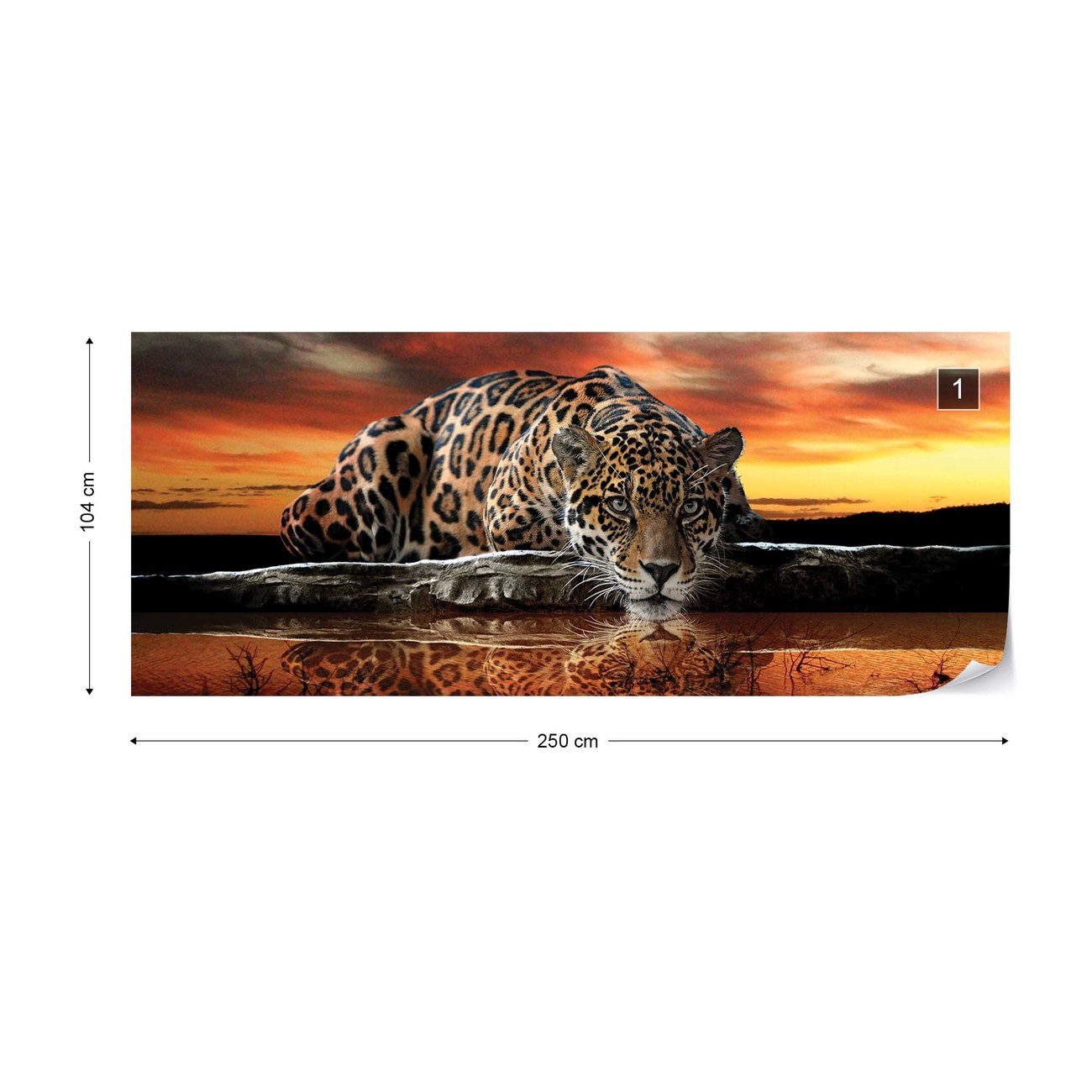 Leopard Fototapeta, Tapeta | Kup na Posters.pl
