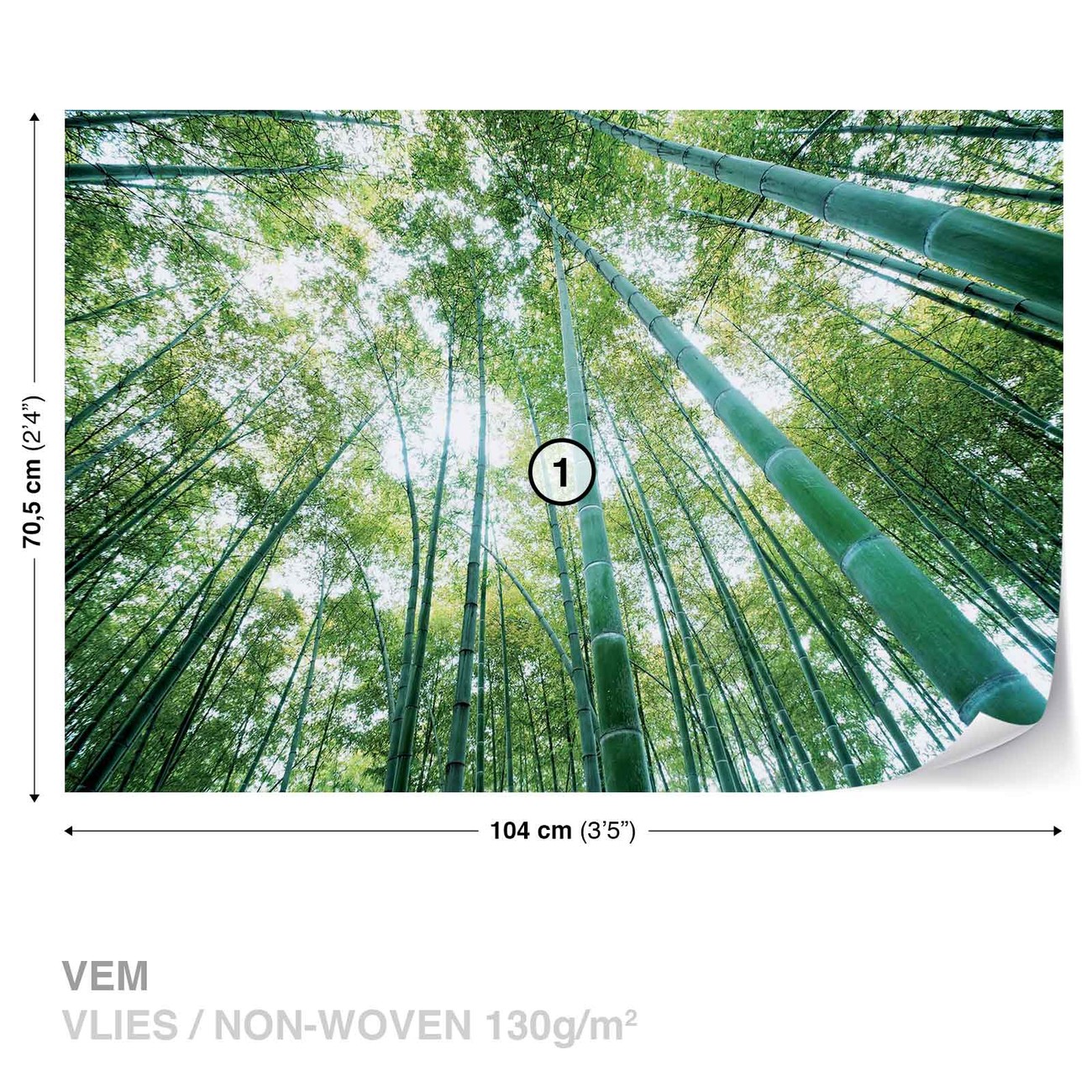 Les, Stromy, příroda fototapeta, tapeta na zeď na Posters.cz