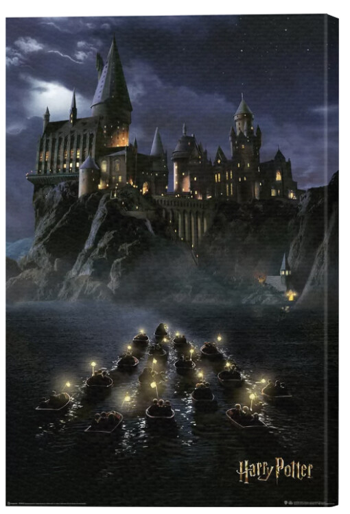 Cuadro/ Obras Harry Potter - Hogwarts | Compra en Posters.es