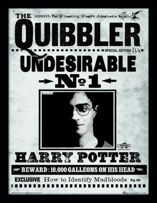 Harry Potter - The Quibbler Gerahmte Poster, Bilder | Kaufen bei ...