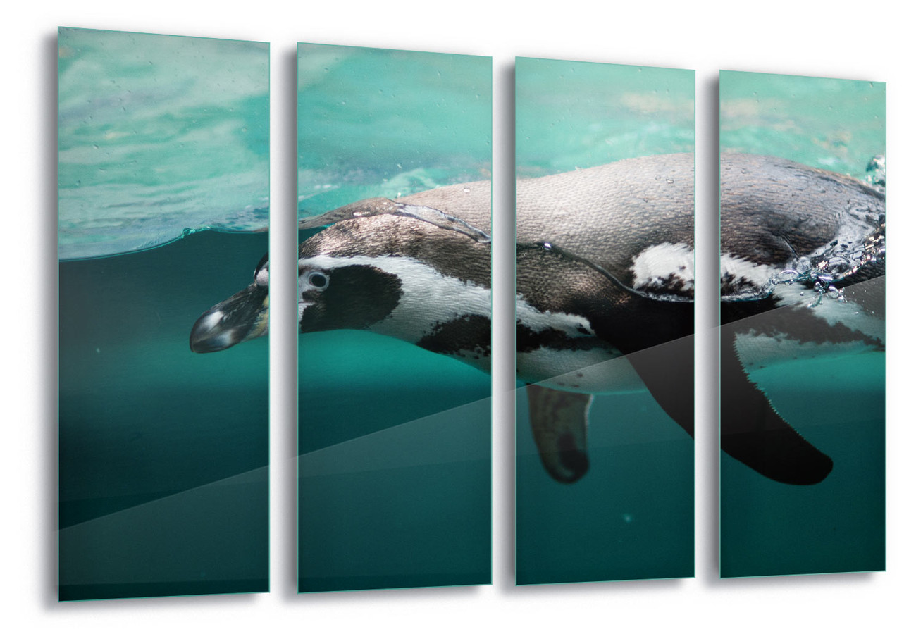 Obraz - Penguin na zeď na Posters.cz