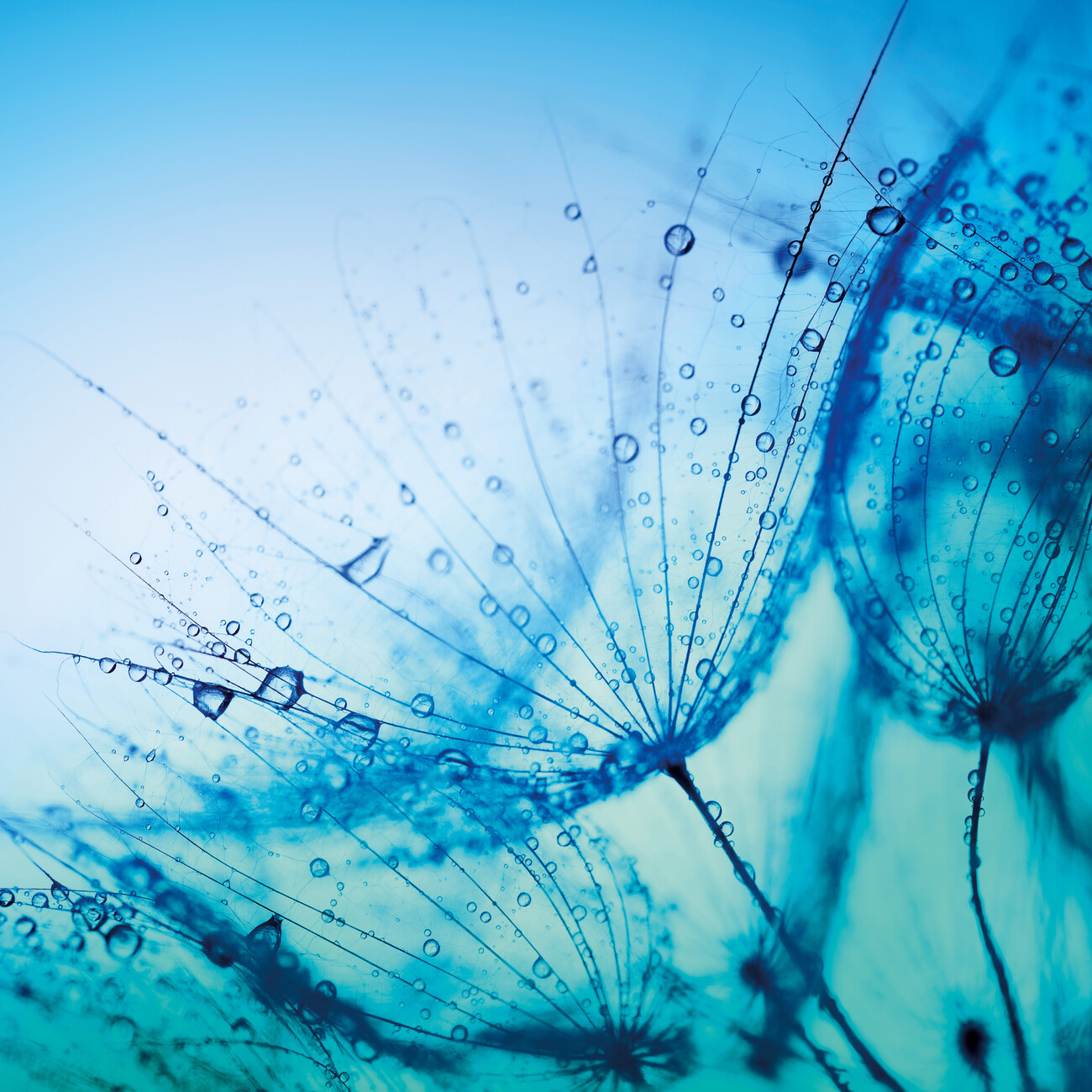 Naše modrá Planeta - Kalendáře na zeď 2024 | Kup na Posters.cz