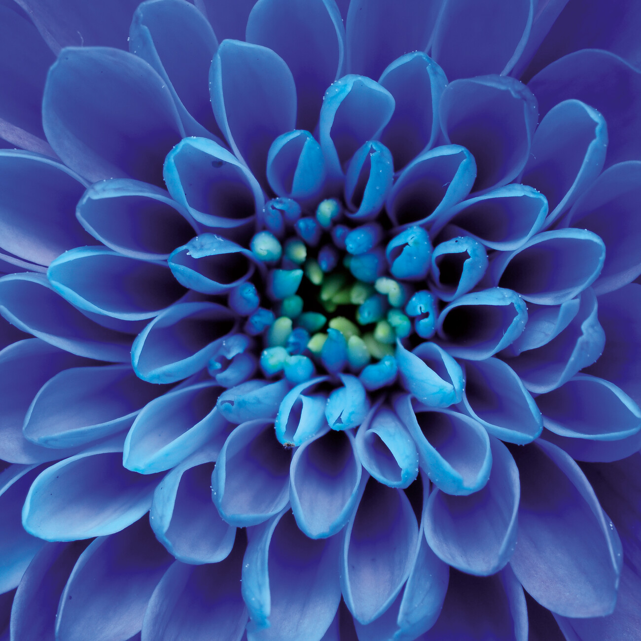 Naše modrá Planeta - Kalendáře na zeď 2024 | Kup na Posters.cz