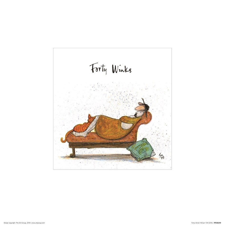 Reproducción de arteSam Toft - Forty Winks | Pósters, cuadros y láminas ...