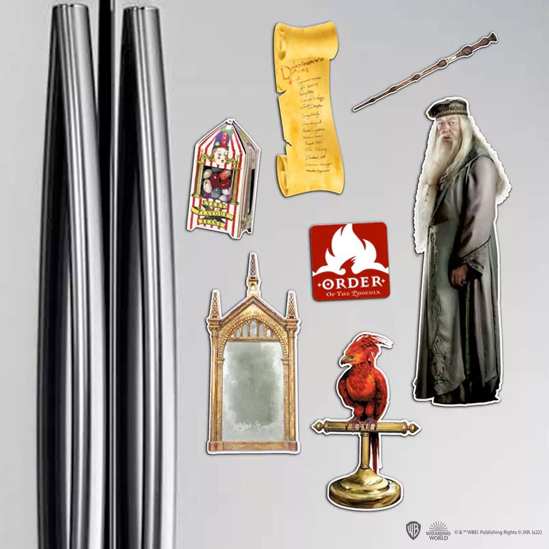Magnet Harry Potter - Dumbledore | Tips for original gifts